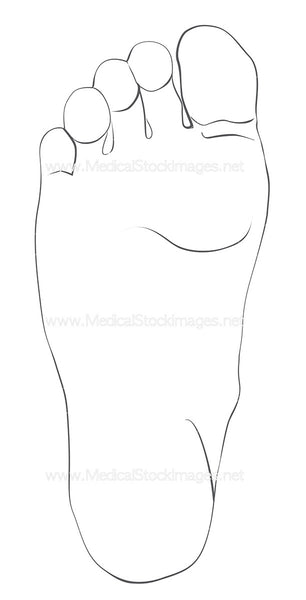 Yongquan Acupuncture Point (No Labels) – Medical Stock Images Company